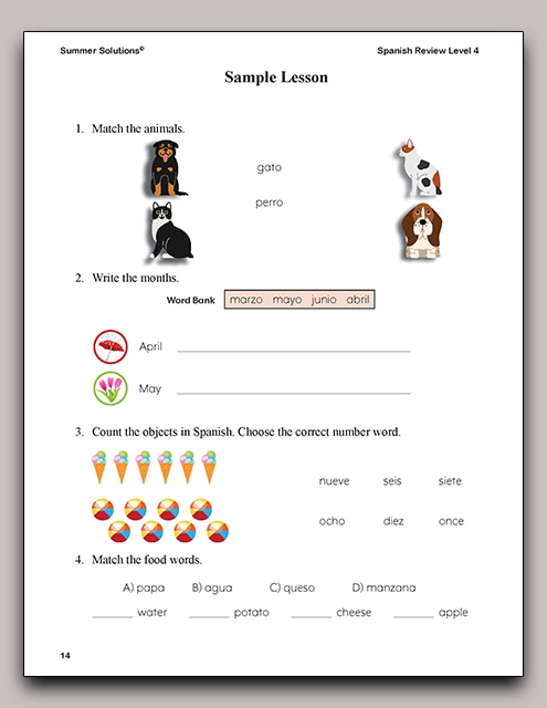 Spanish Review 4